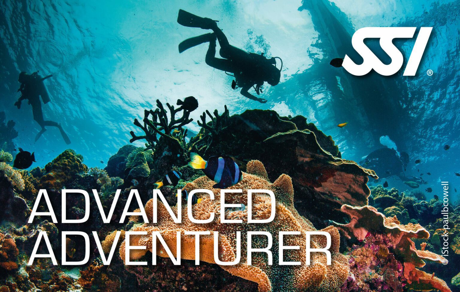 Metro Divers - Let's Dive In!