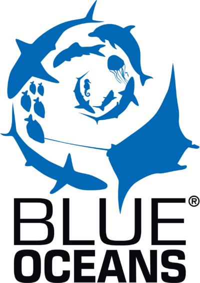 Code Blue – Metro Divers